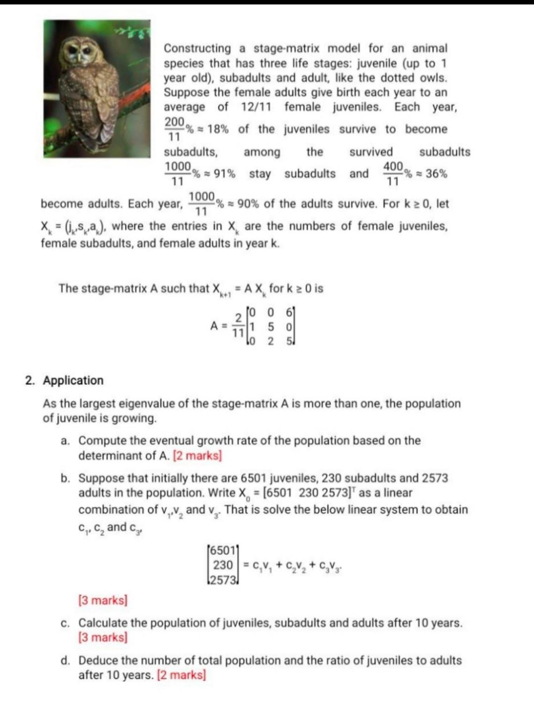 Solved Constructing a stage-matrix model for an animal | Chegg.com