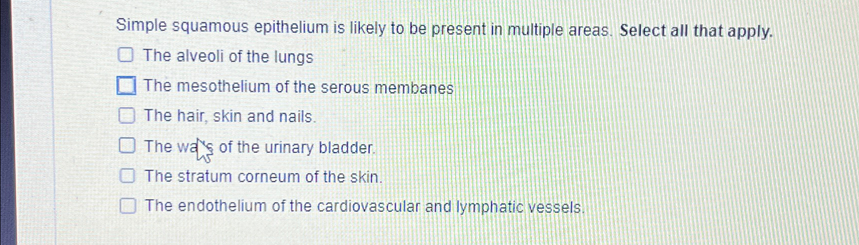 Solved Simple squamous epithelium is likely to be present in | Chegg.com