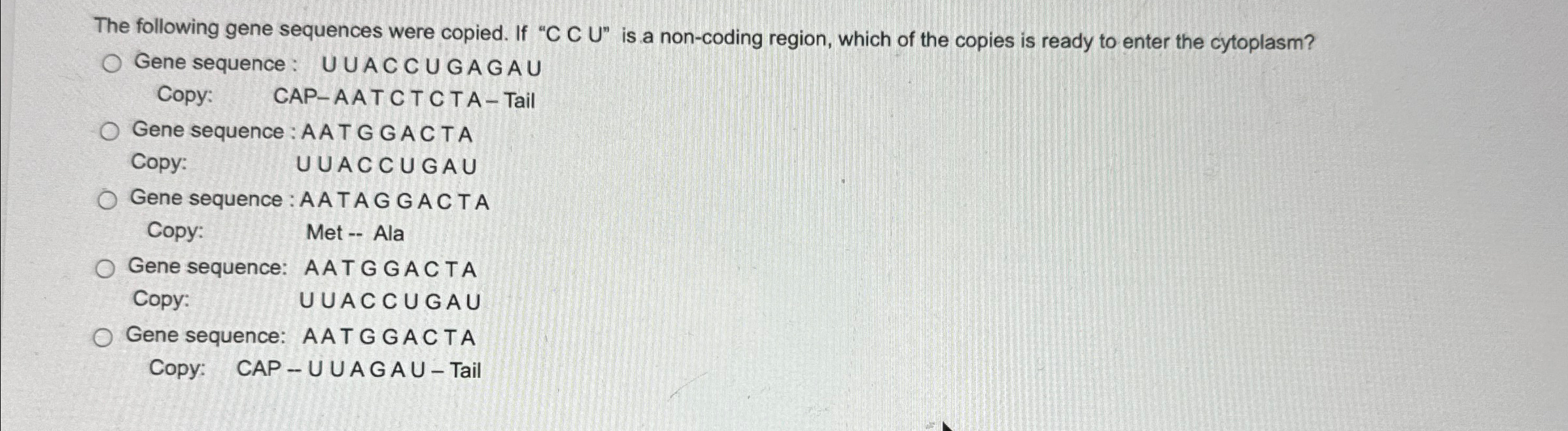 Solved The following gene sequences were copied. If "C C U" | Chegg.com