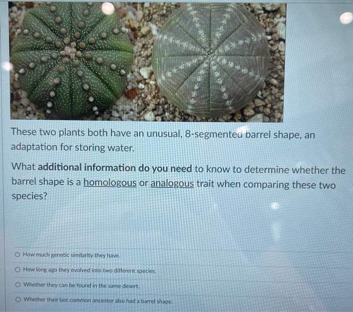 Solved These two plants both have an unusual, 8 -segmented | Chegg.com