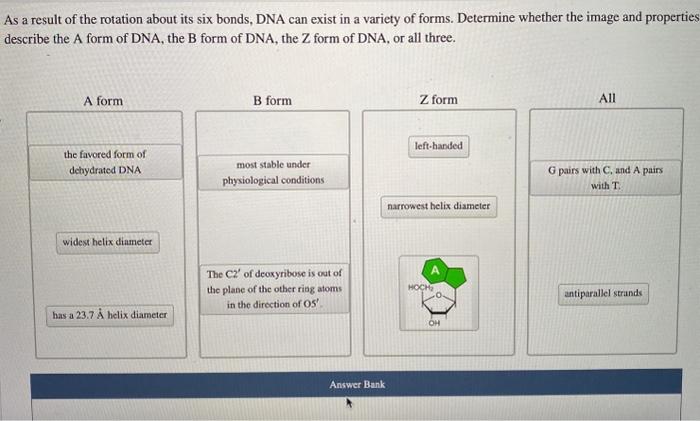 Solved As a result of the rotation about its six bonds, DNA | Chegg.com