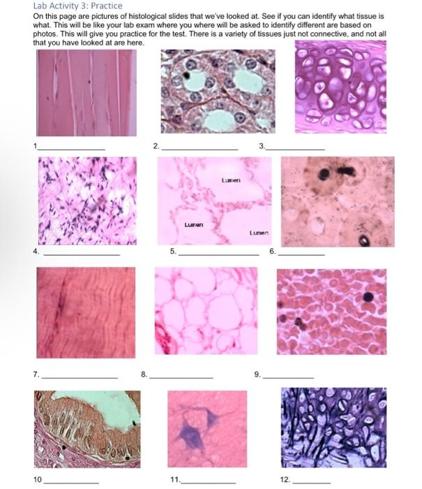Solved Lab Activity 3: Practice On this page are pictures of | Chegg.com