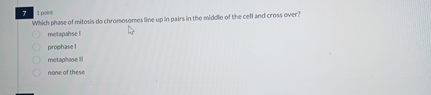 Solved 71 ﻿point,Which phase of mitosis do chromosomes line | Chegg.com