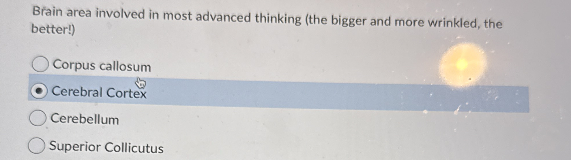 Solved Brain area involved in most advanced thinking (the | Chegg.com