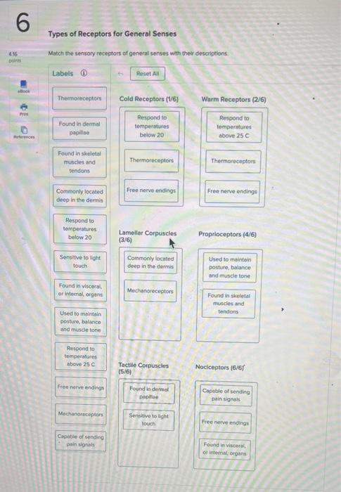 Solved Types of Receptors for General Senses Match the | Chegg.com