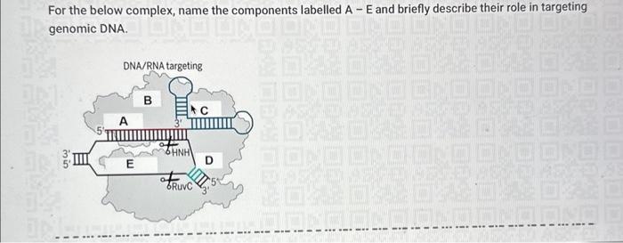 Solved For the below complex, name the components labelled A | Chegg.com