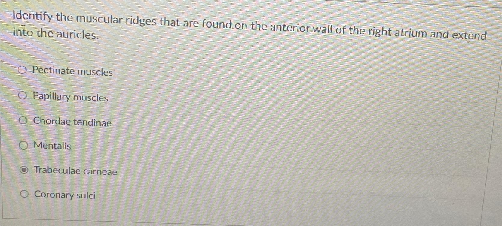 Solved Identify the muscular ridges that are found on the | Chegg.com