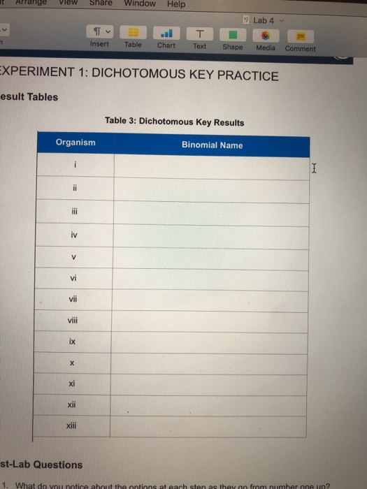 Arrange View Share Window Help 2 Lab 4 Insert Table | Chegg.com