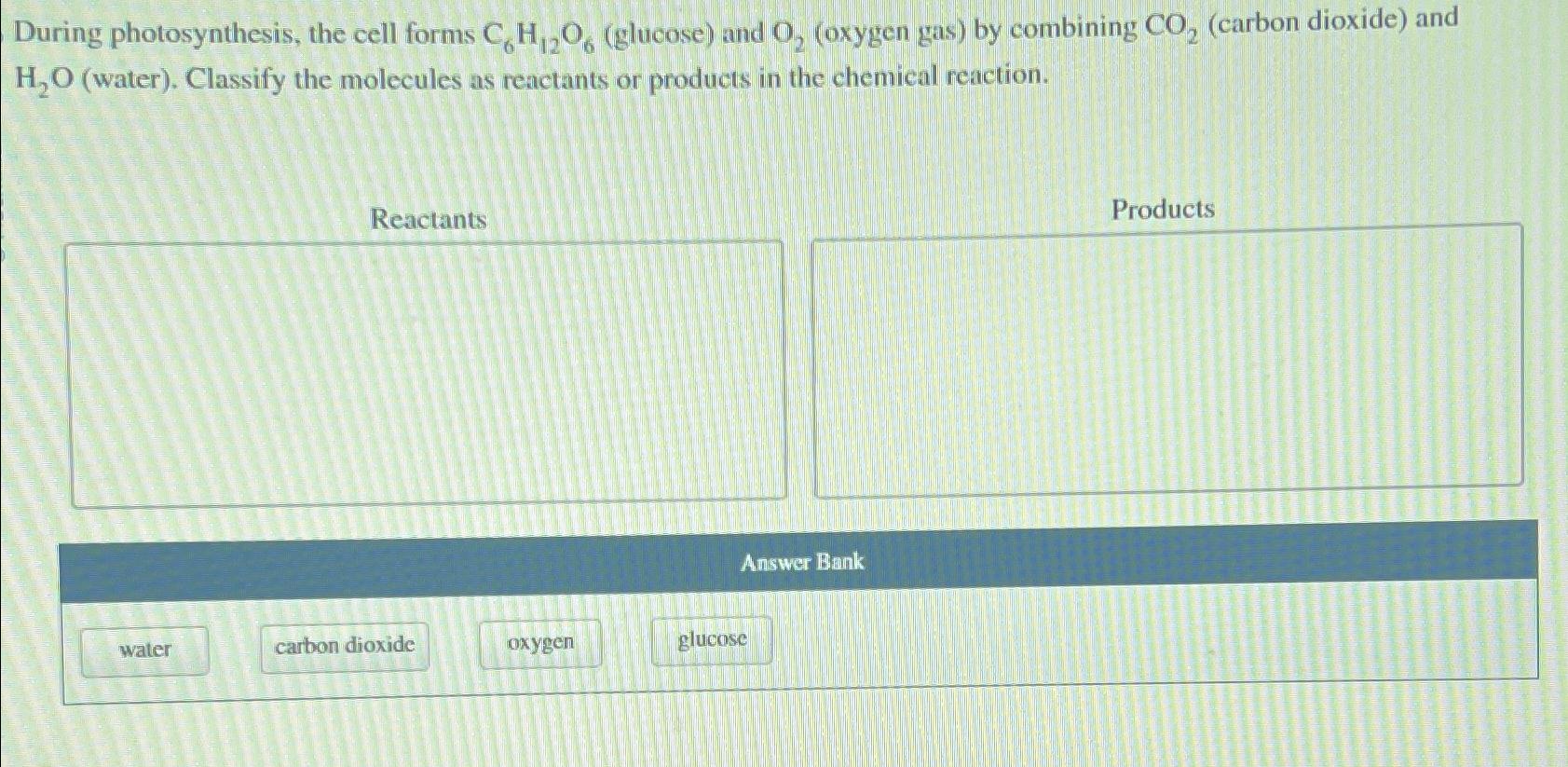 Solved During photosynthesis, the cell forms | Chegg.com