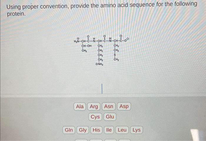 Solved Using proper convention, provide the amino acid | Chegg.com
