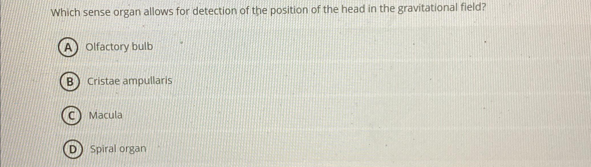 Solved Which sense organ allows for detection of the | Chegg.com