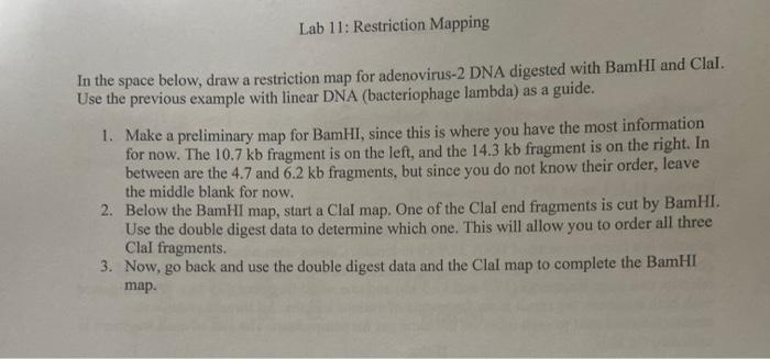 Solved Lab 11: Restriction Mapping In the space below, draw | Chegg.com