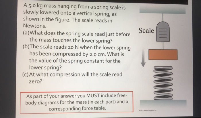 Solved Scale A 5.0 kg mass hanging from a spring scale is | Chegg.com