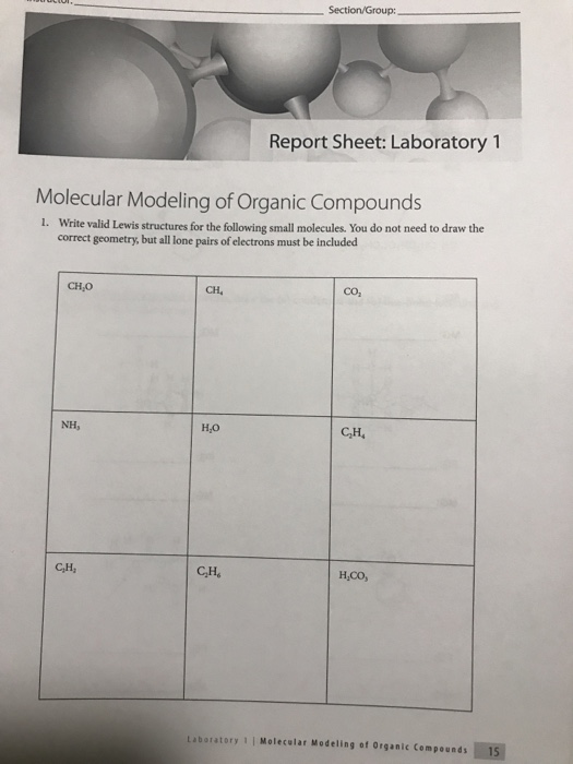 Solved Section Group: Report Sheet: Laboratory 1 Molecular | Chegg.com