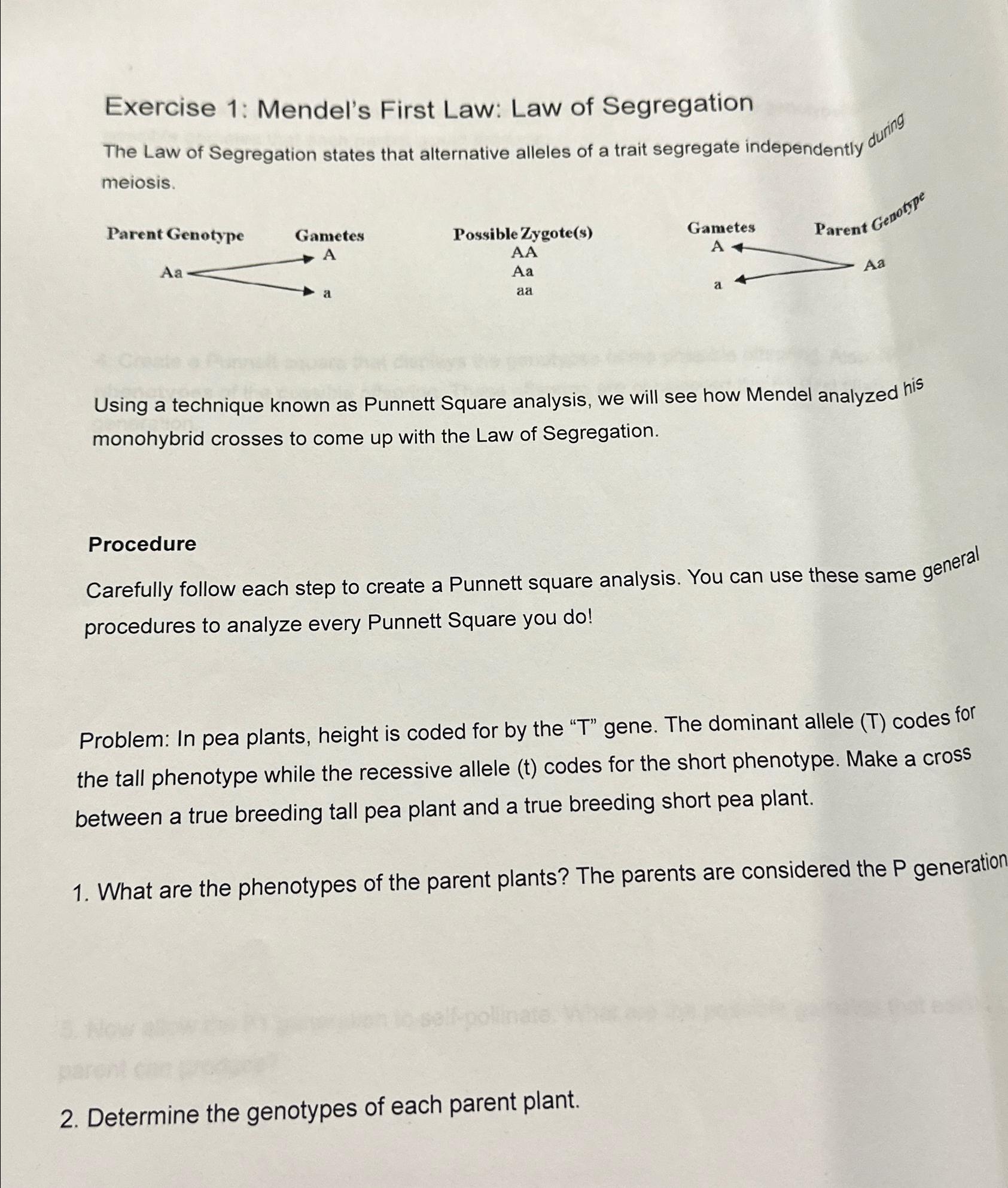 Solved Exercise 1: Mendel's First Law: Law of SegregationThe | Chegg.com