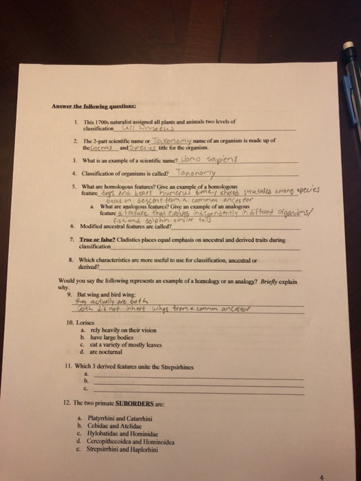 Answer The Following Questions 1 This 1700s Chegg answer-the-following-questions-1-this-1700s-chegg