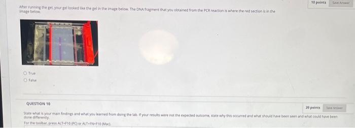 Solved What is the red color component in the wells in the | Chegg.com