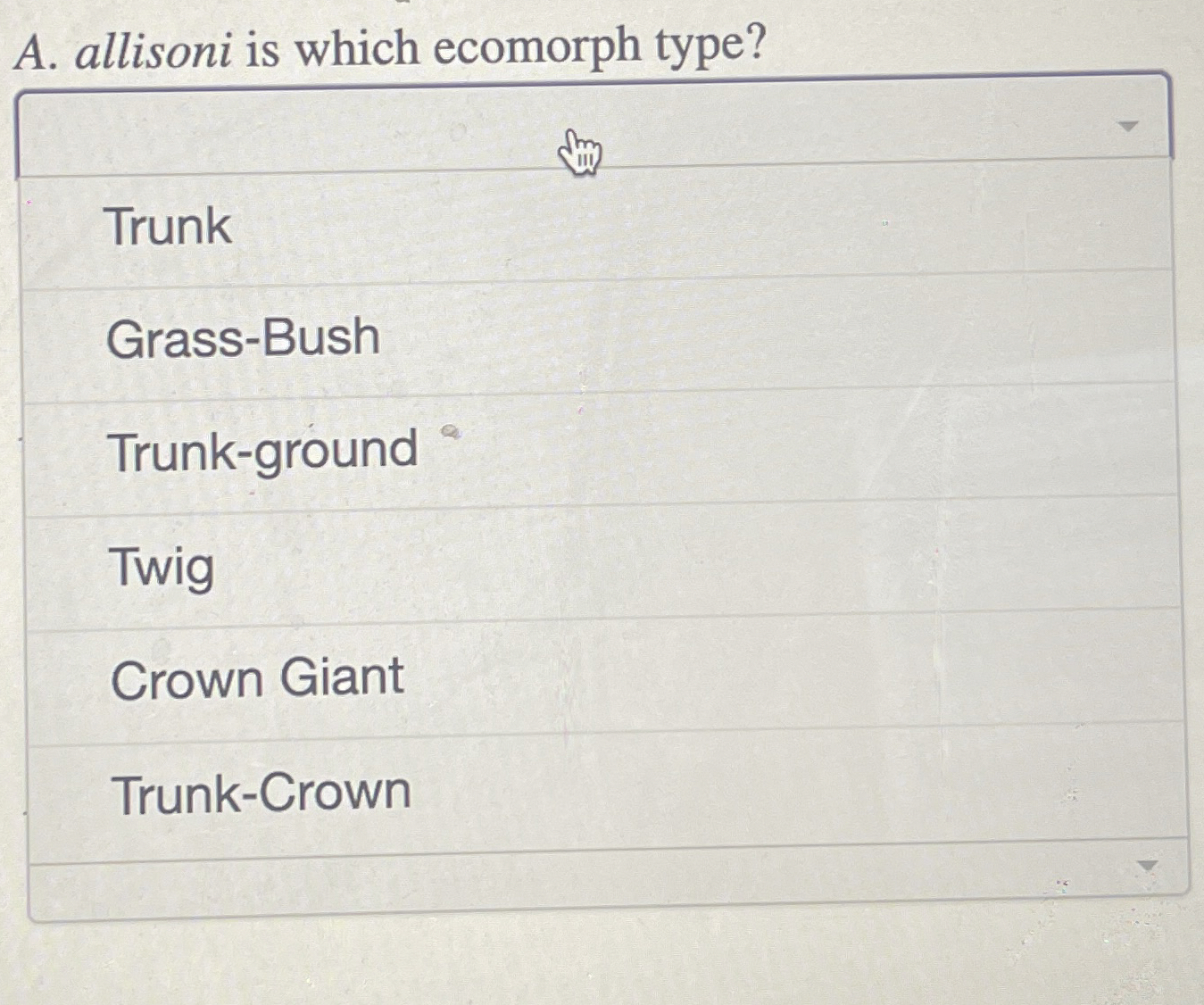 Solved A. ﻿allisoni is which ecomorph | Chegg.com