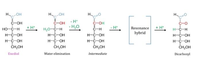 Solved Enediol Water elimination Intermediate Dicarbonyl | Chegg.com
