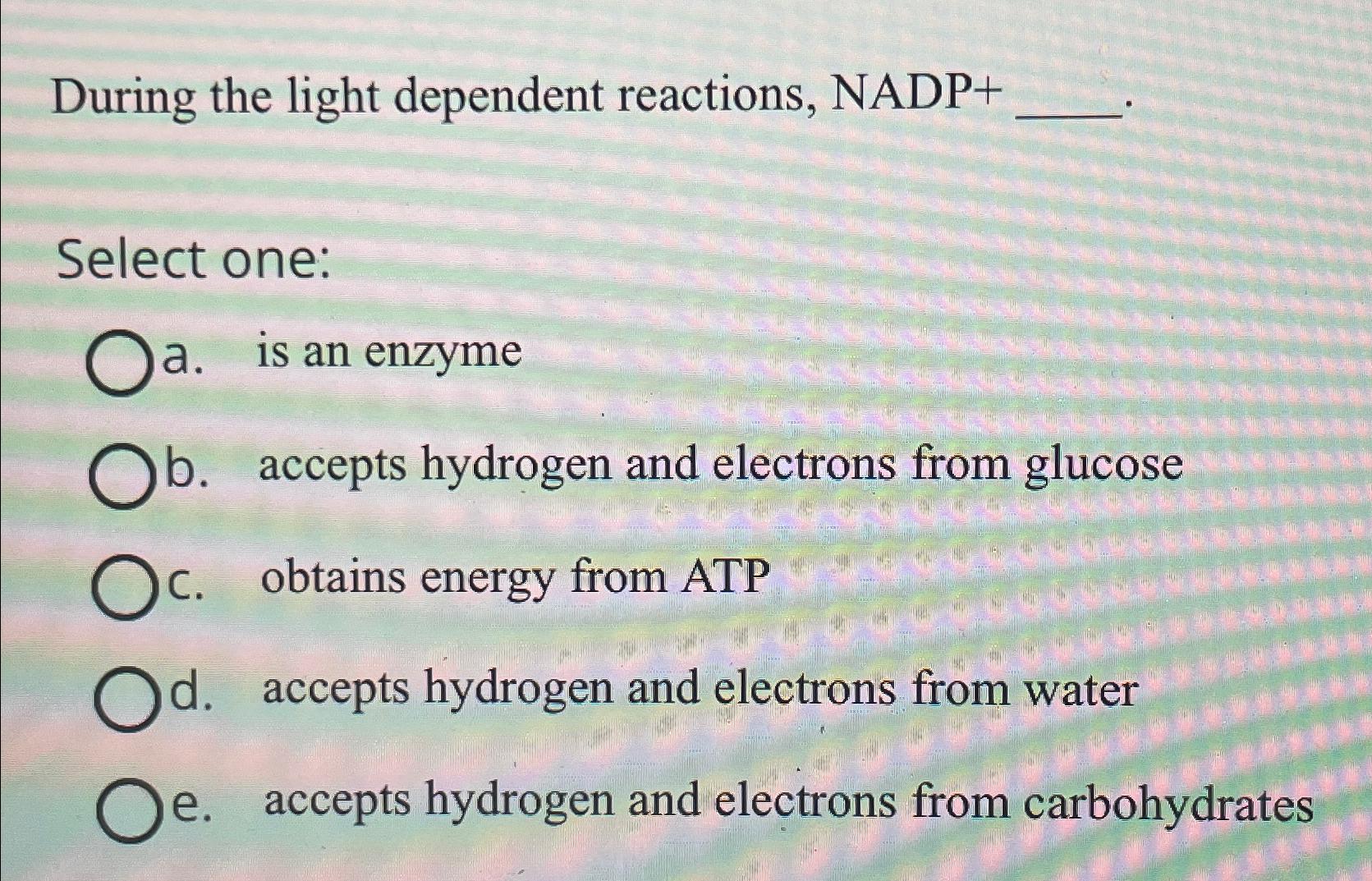 Solved During the light dependent reactions, NADP+Select | Chegg.com