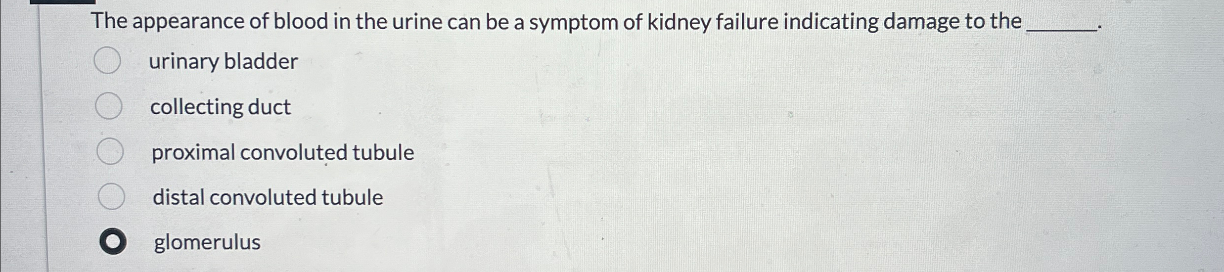 Solved The appearance of blood in the urine can be a symptom | Chegg.com