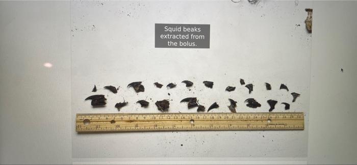 Solved View the photos to gather information regarding the | Chegg.com