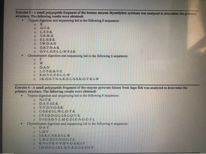 Solved O O O O Exercise 5 - A small polypeptide fragment of | Chegg.com