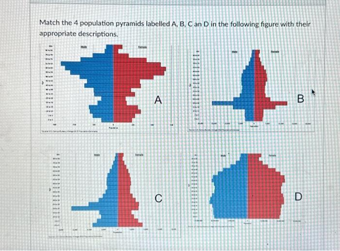 Solved Match the 4 population pyramids labelled A, B, C an D | Chegg.com