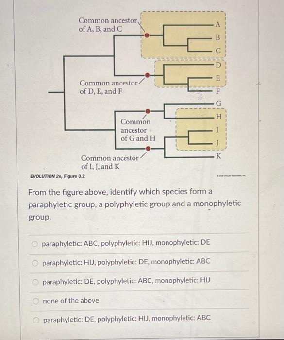 Solved From the figure above, identify which species form a | Chegg.com
