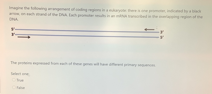 Solved Imagine the following arrangement of coding regions | Chegg.com