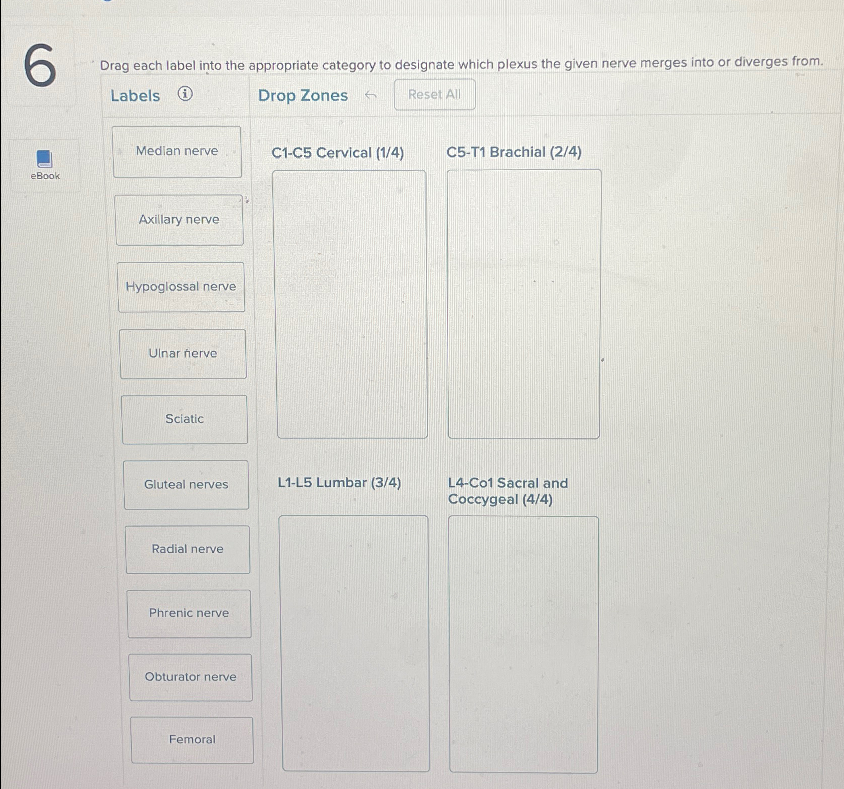Solved Drag each label into the appropriate category to | Chegg.com