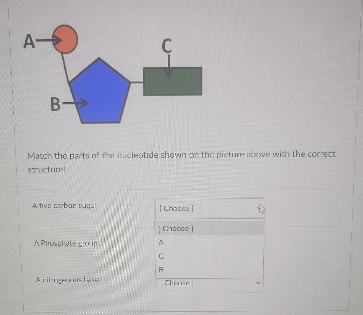 Solved Match the parts of the nucleotide shown on the | Chegg.com