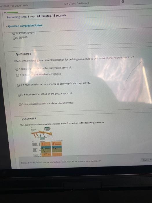 Solved MY UTEP Dashboard 10014 Fall 2020 Web Remaining Time: | Chegg.com