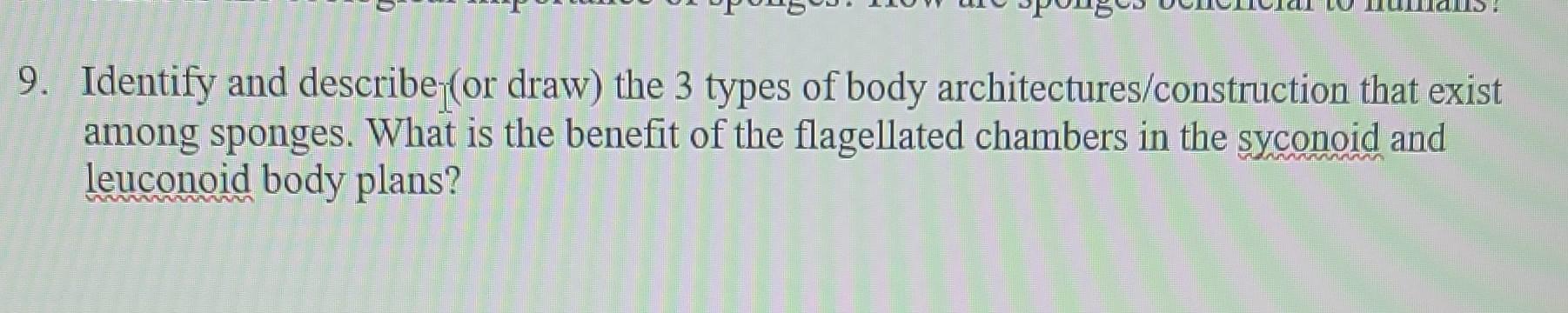 Solved 9. Identify and describe (or draw) the 3 types of | Chegg.com