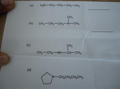 Solved H2N CH2 CH2 CH2 CH3 CH3 CH2 CH2 CH3 N CH3 | Chegg.com