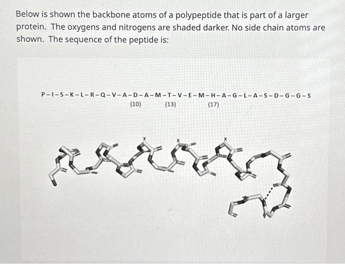 Solved Below is shown the backbone atoms of a polypeptide | Chegg.com