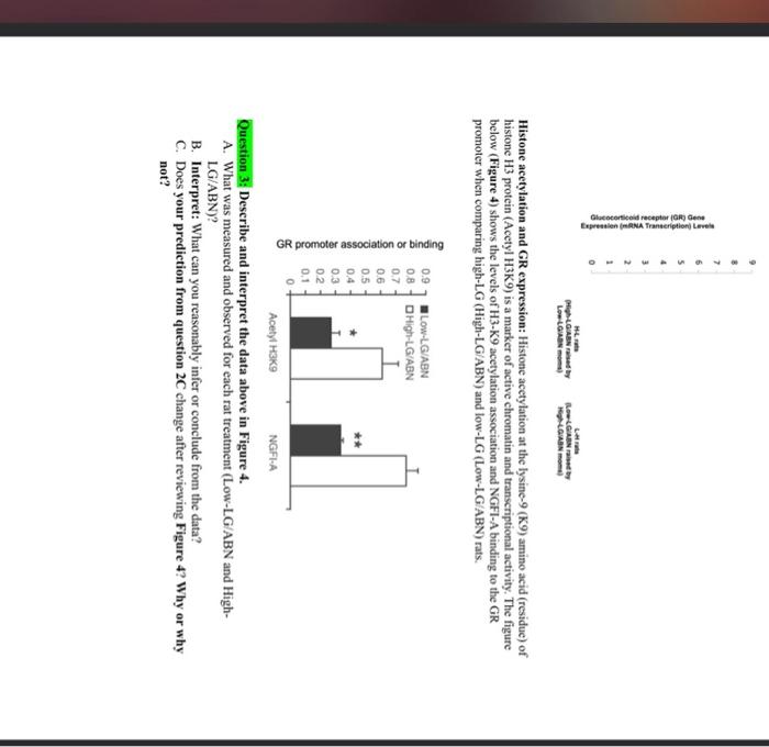 CpGs of the GR promoter: NGFI-A is a transeription | Chegg.com