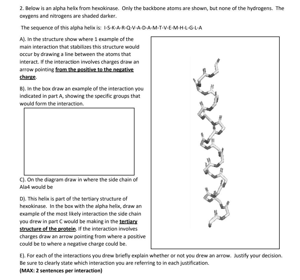Solved 2. Below is an alpha helix from hexokinase. Only the | Chegg.com