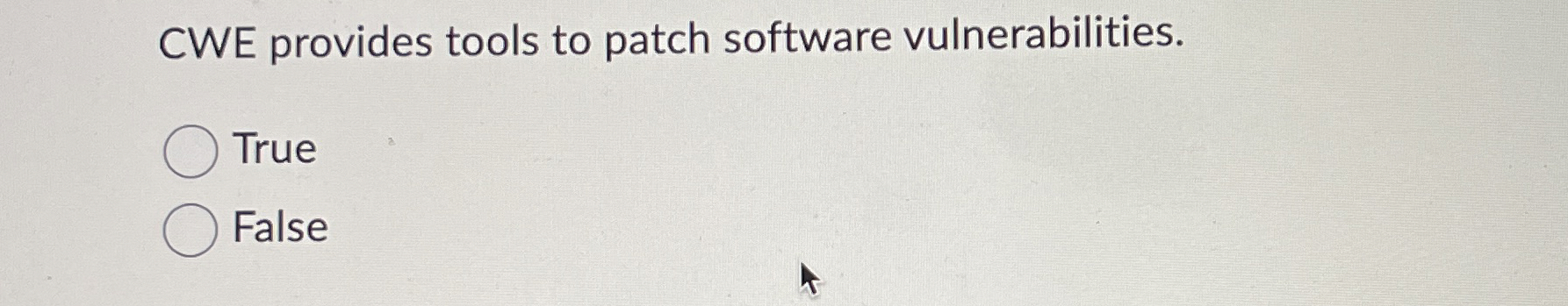 Solved CWE provides tools to patch software | Chegg.com