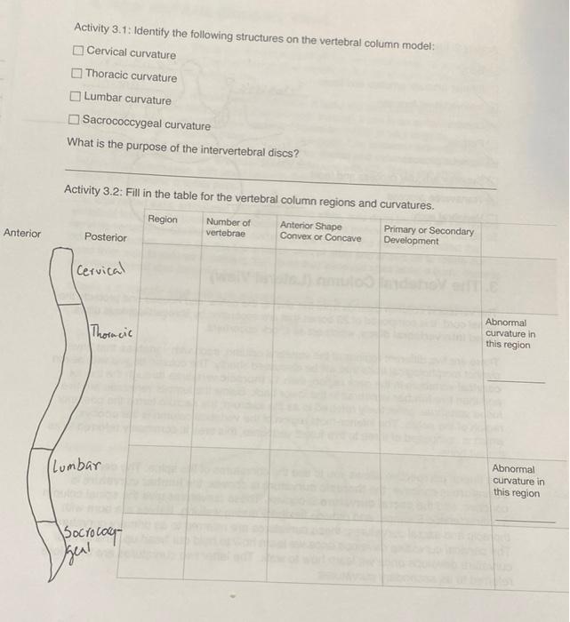 Solved Activity 3.1: Identify the following structures on | Chegg.com