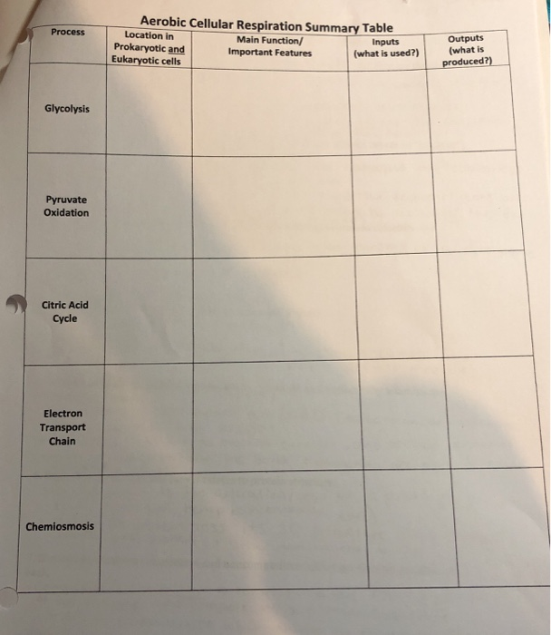 Solved Process Aerobic Cellular Respiration Summary Table | Chegg.com