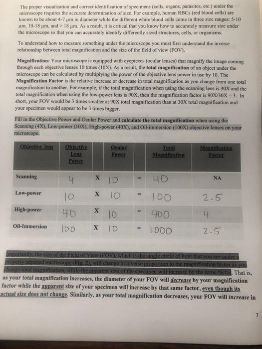 Solved diameter by your magnification factor and the size of | Chegg.com