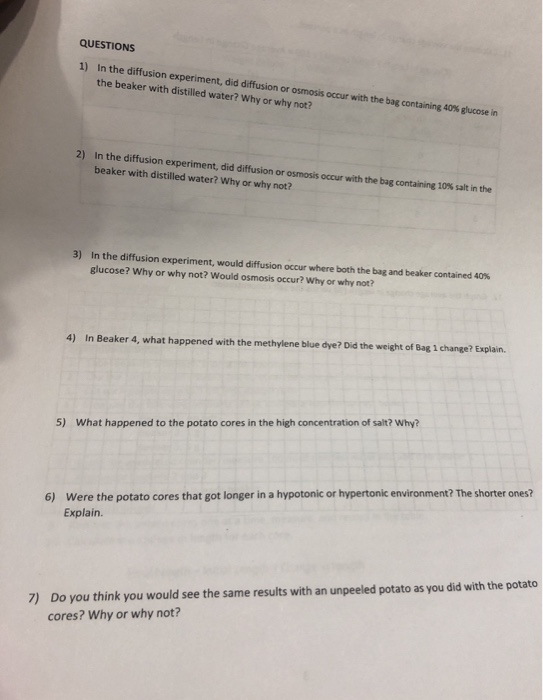 QUESTIONS 1) In the diffusion experiment, did | Chegg.com