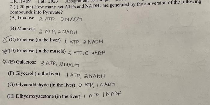 2.) ( 20 pts) How many net ATPs and NADHs are | Chegg.com