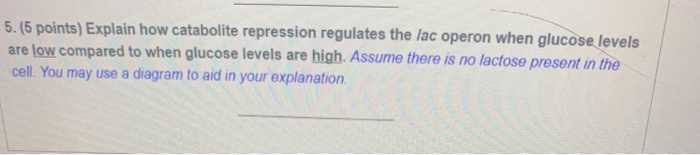 Solved 5. (5 points) Explain how catabolite repression | Chegg.com