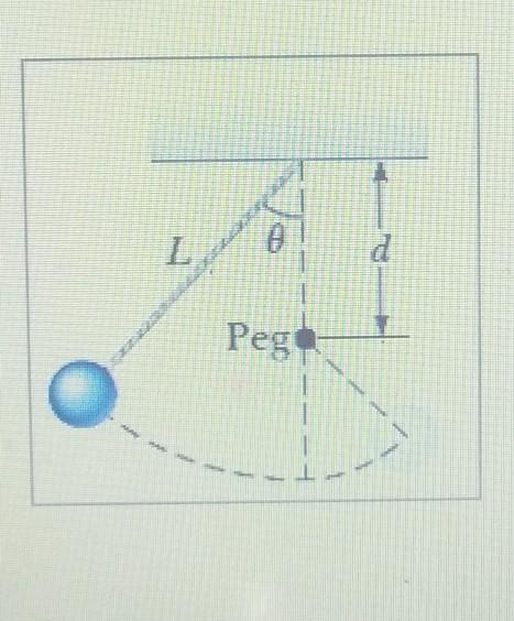 Solved A pendulum, comprising a light string of length L and | Chegg.com Solved A pendulum, comprising a light string of length L and | Chegg.com