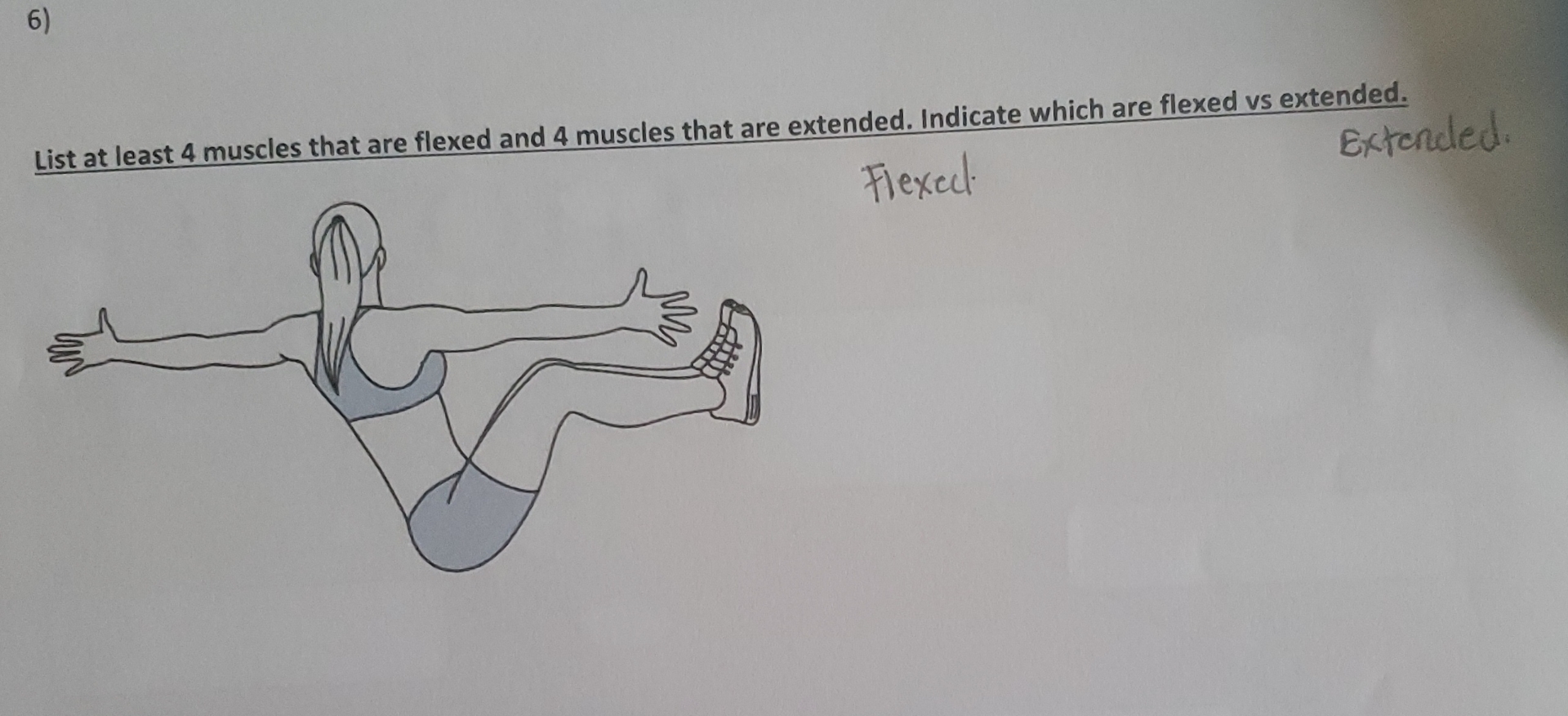 Solved List at least 4 ﻿muscles that are flexed and 4 | Chegg.com