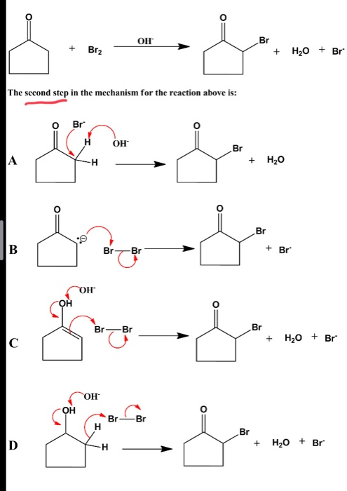 Solved + Br2 = + H2O + Br The first step in the mechanism | Chegg.com