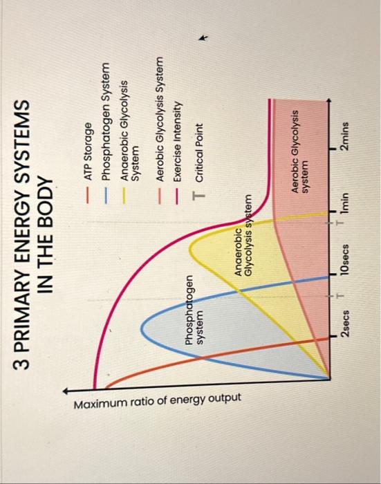 Solved 3 PRIMARY ENERGY SYSTEMS IN THE BODY | Chegg.com