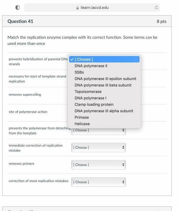Solved ilearn.laccd.edu Question 41 8 pts Match the | Chegg.com